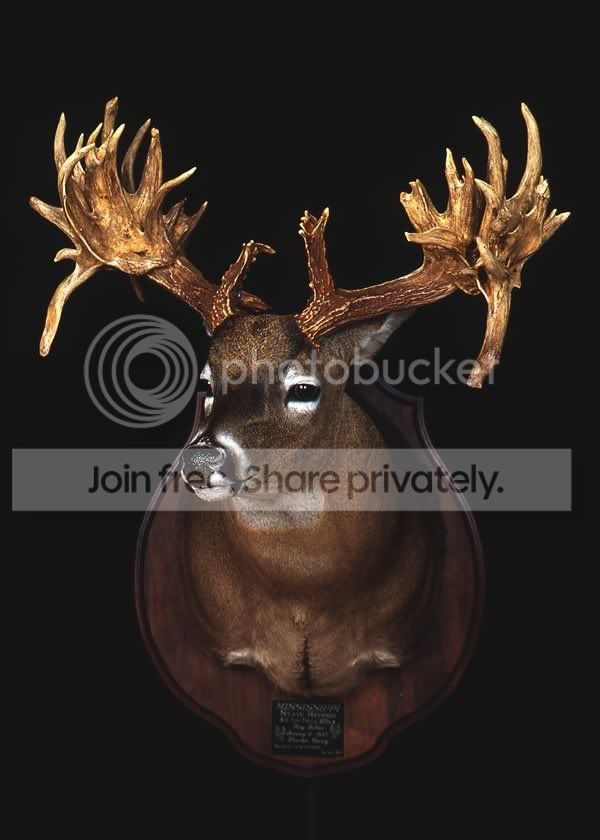 Post a pic of the biggest buck ever taken in your home state. | Archery ...
