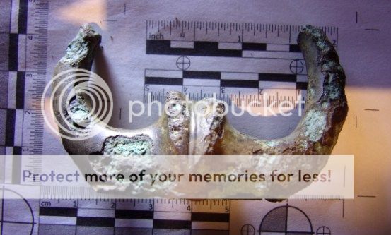 Bronze Decorative Object - Roman Terret Ring! - Identification of ...