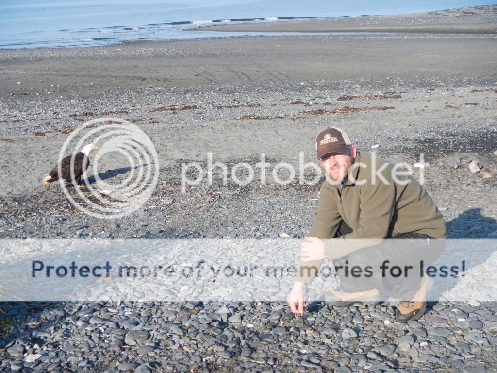 » Topic: TR – Kenai Peninsula July 2012