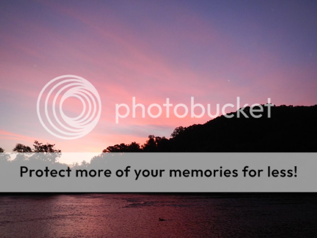 » Topic: Early June Photo Compilation