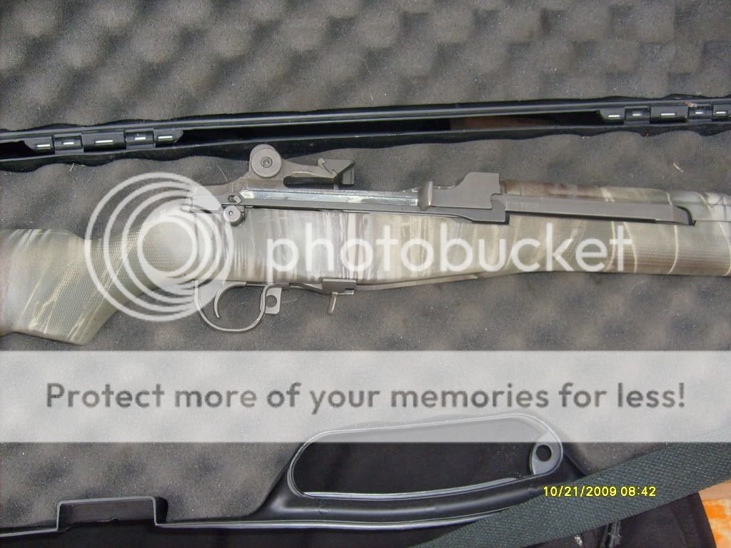 Painted M14 Picture Request | M14 Forum